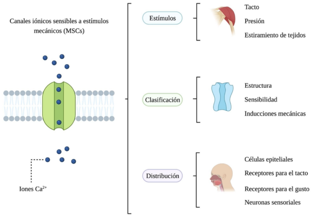 Contexto UDLAP | Contexto UDLAP