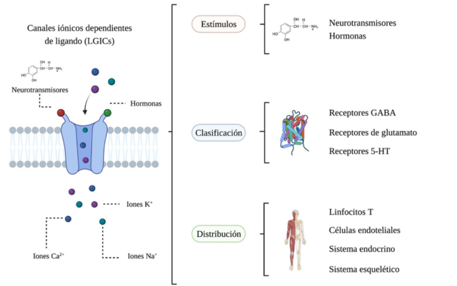 Contexto UDLAP | Contexto UDLAP
