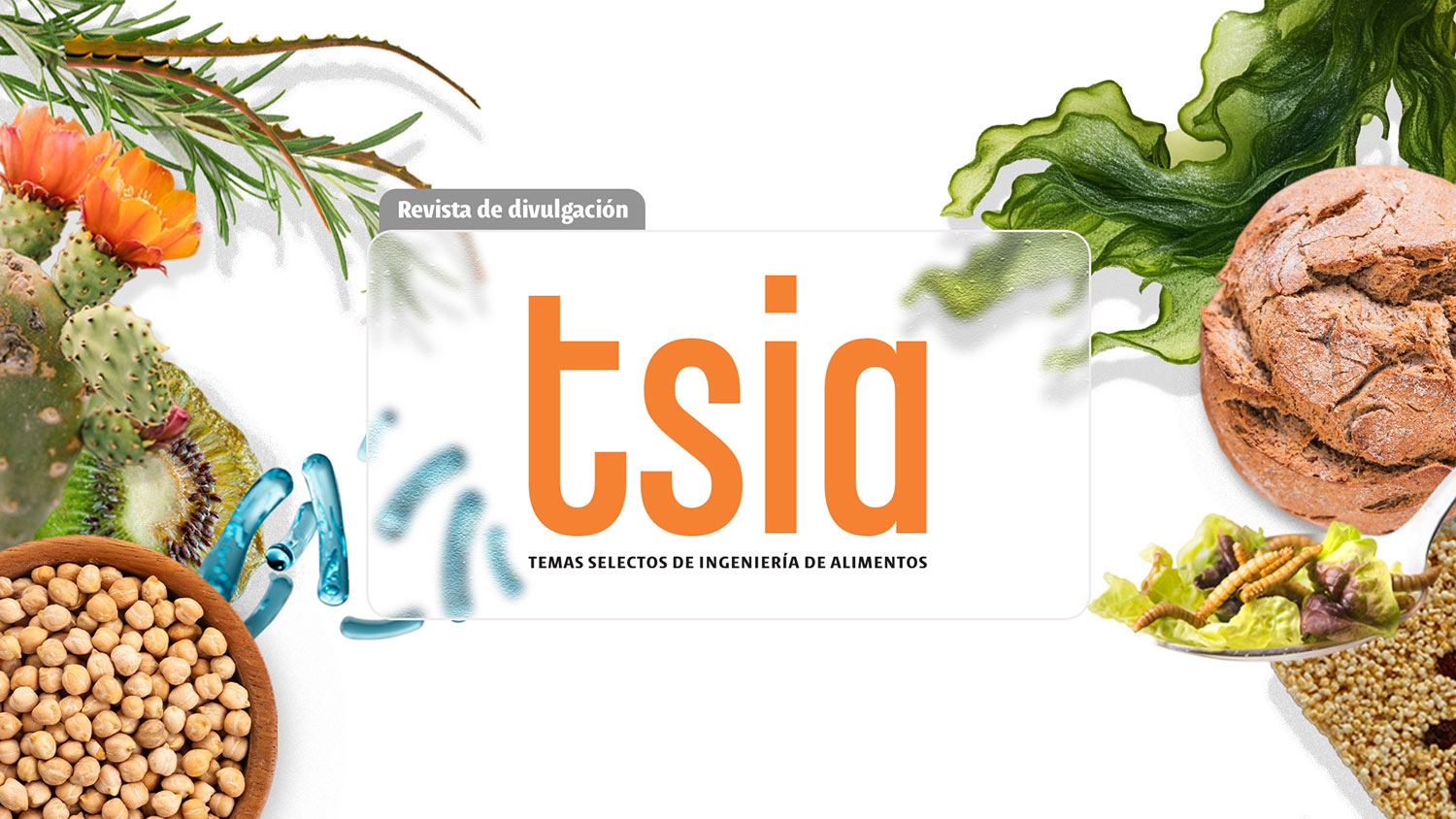 TSIA Vol.11 | Contexto UDLAP